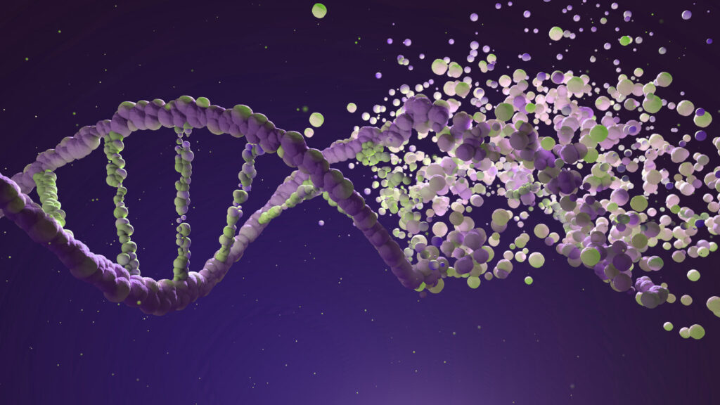 SEO, a fundamental part of your marketing DNA - Outside The Square